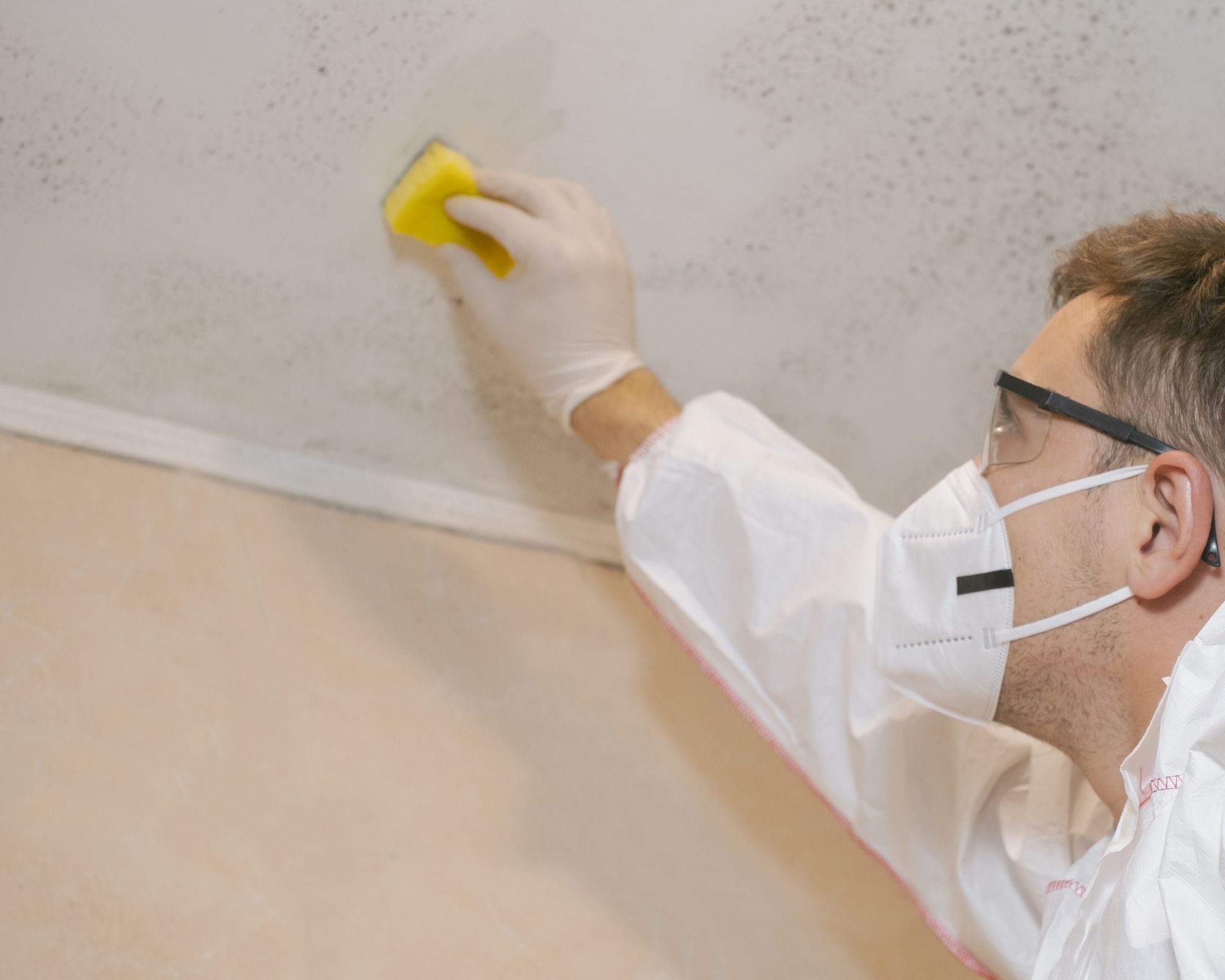 Anti Mould Paint Singapore - singapore painting service